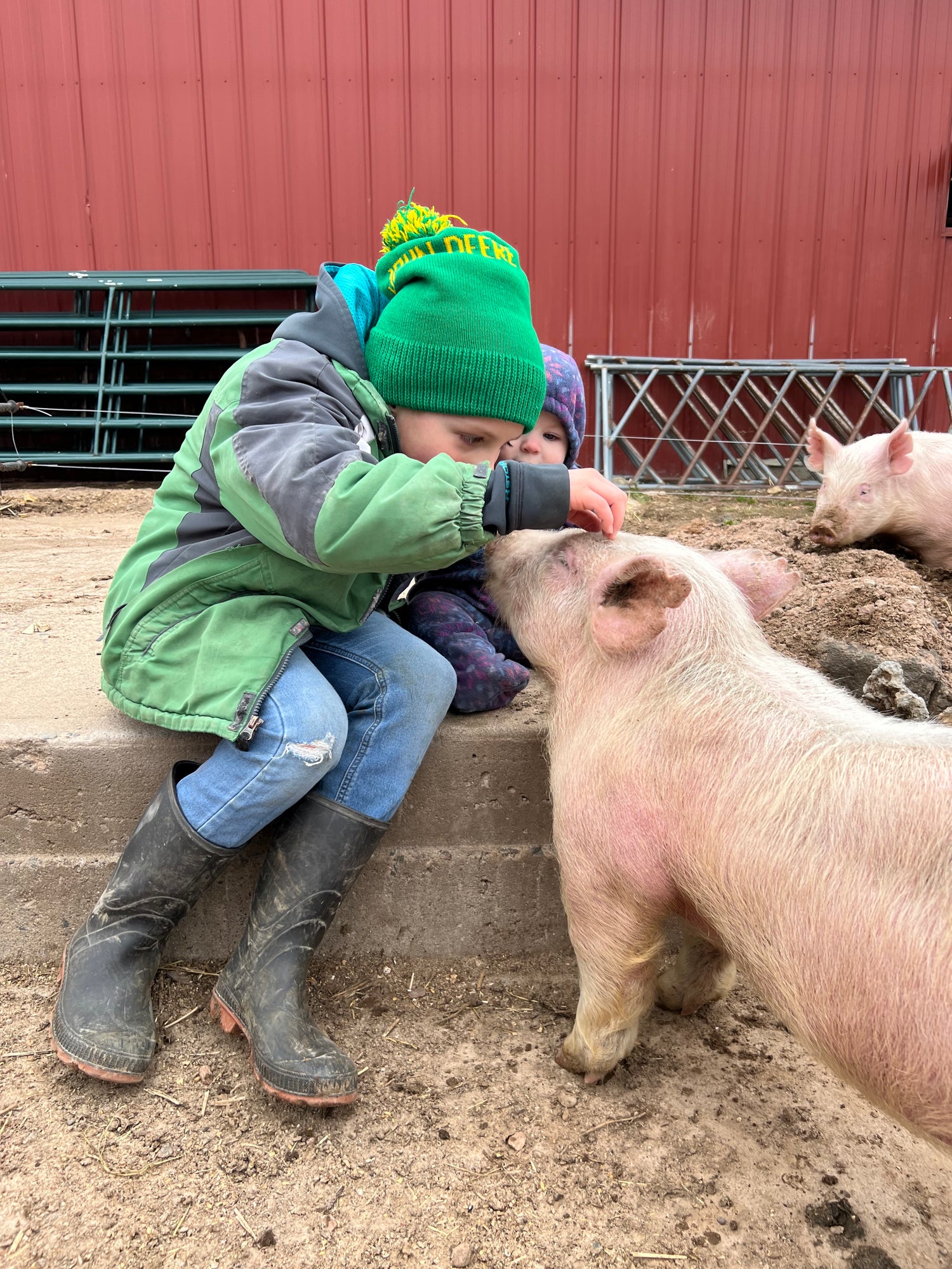 Bulk Pork Packages – Klatt Farms